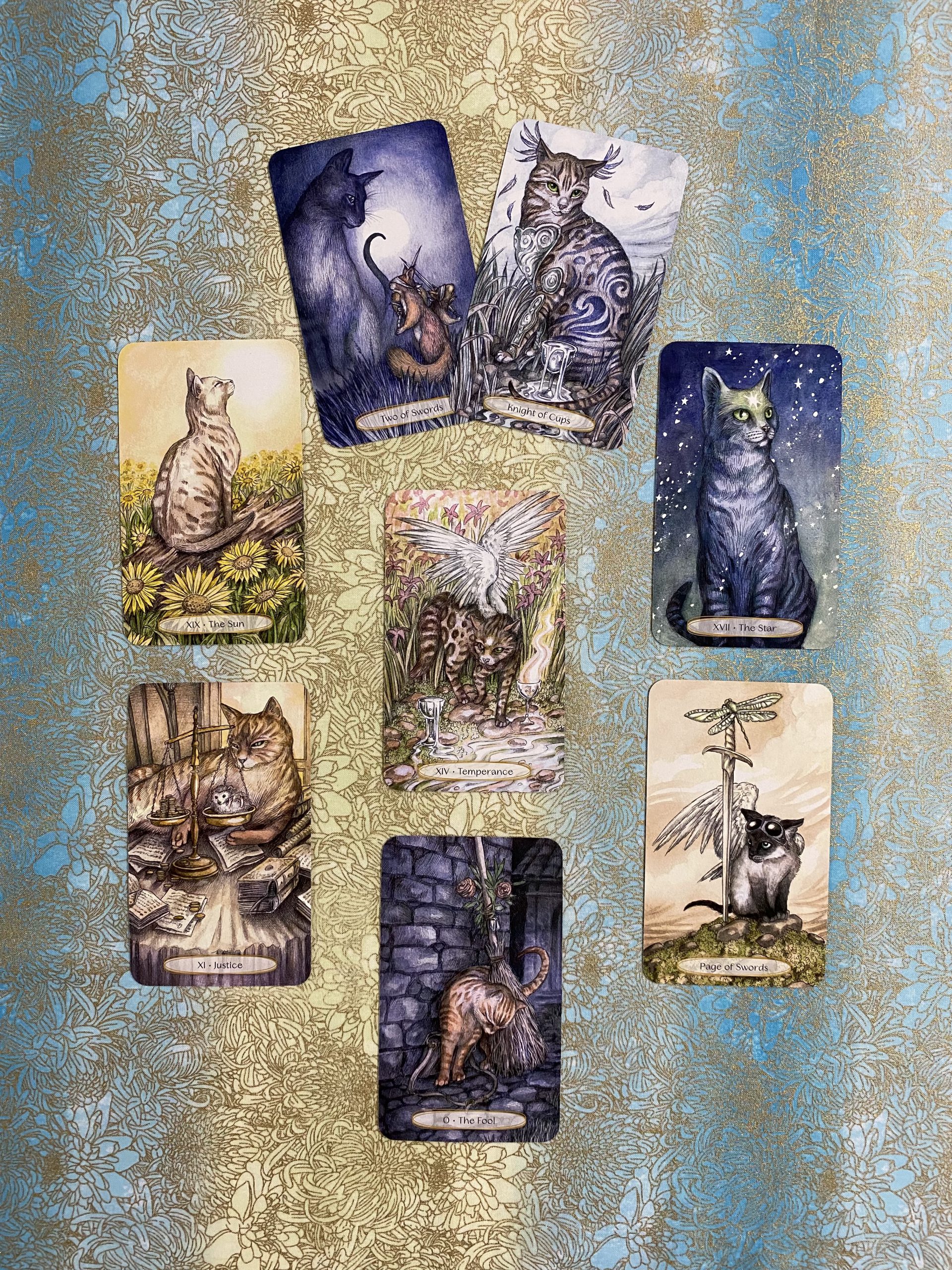 Soul Cats Tarot