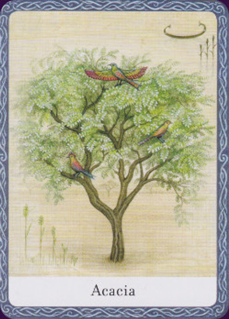 The Wisdom of Trees Oracle