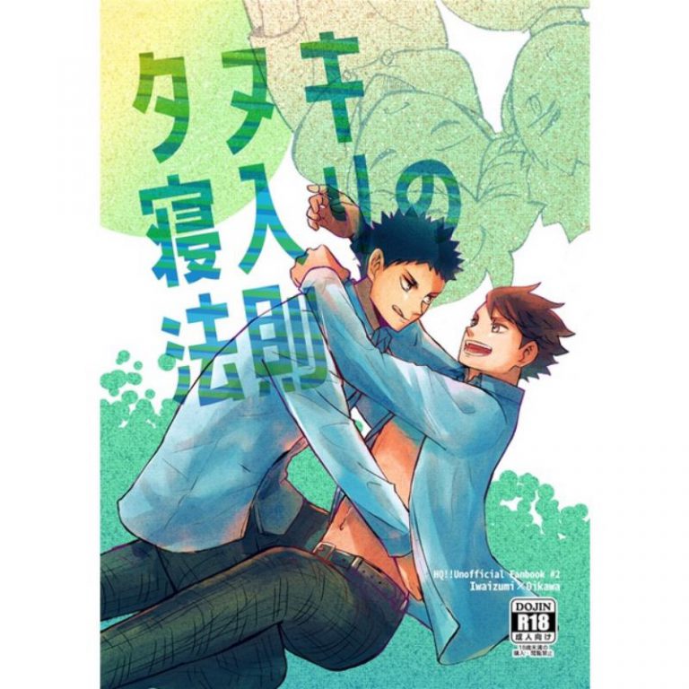 Doujinshi Haikyuu! BL Unofficial Fanbook Iwaizumi x Oikawa